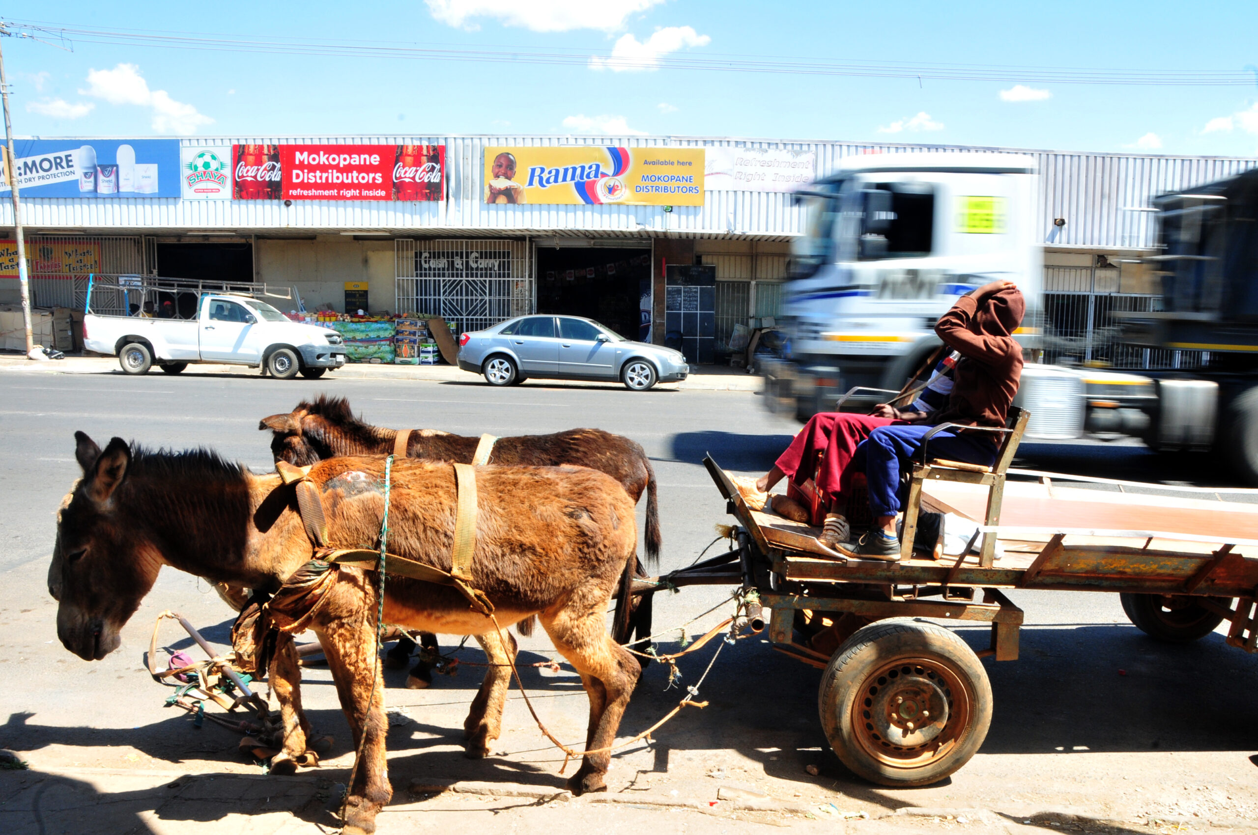 Celebrating the donkey cart – Africa’s ever reliable transport ...